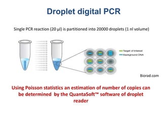 Principle, Procedure and applications of Digital PCR.pptx