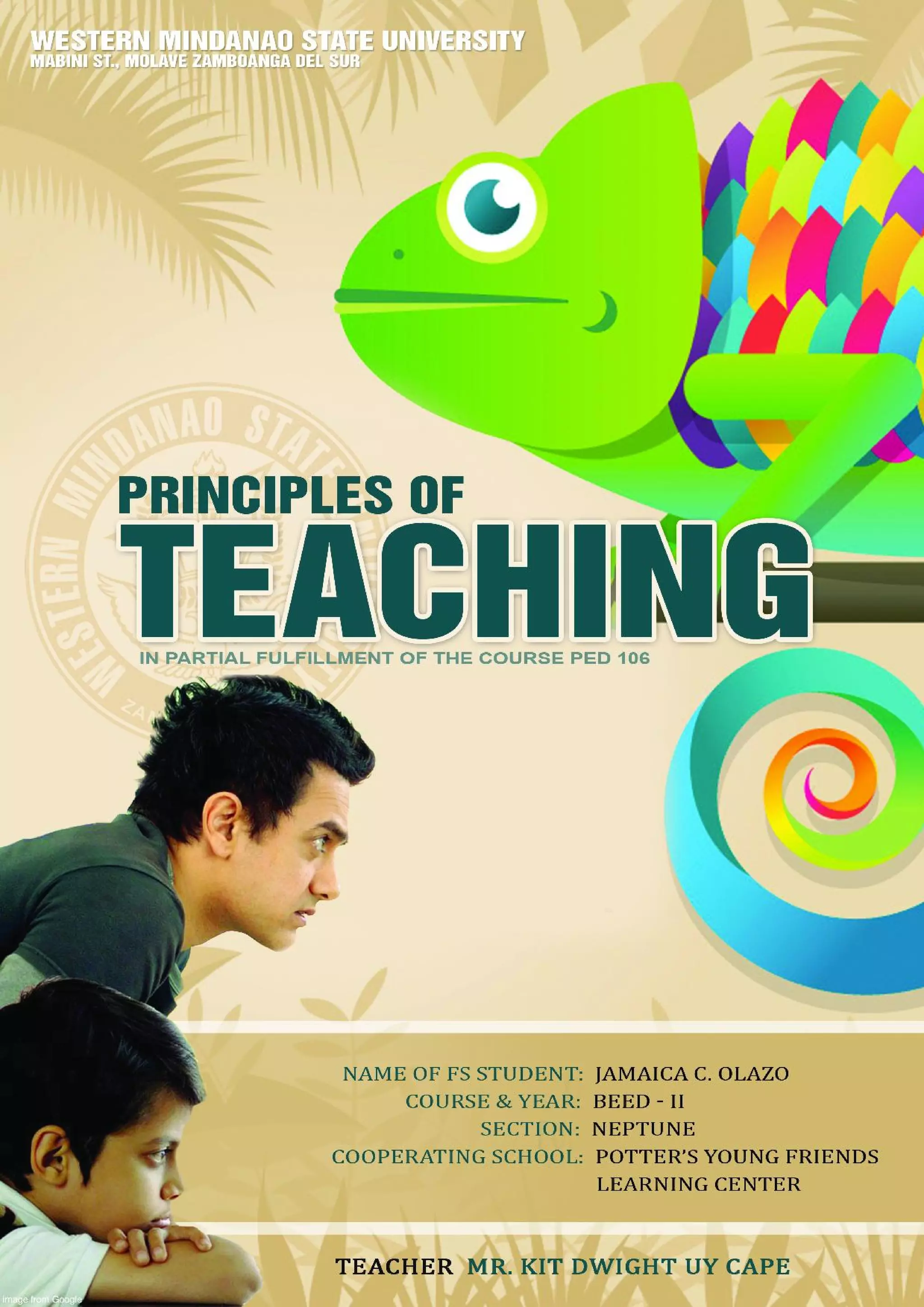Principles of Teaching | PDF