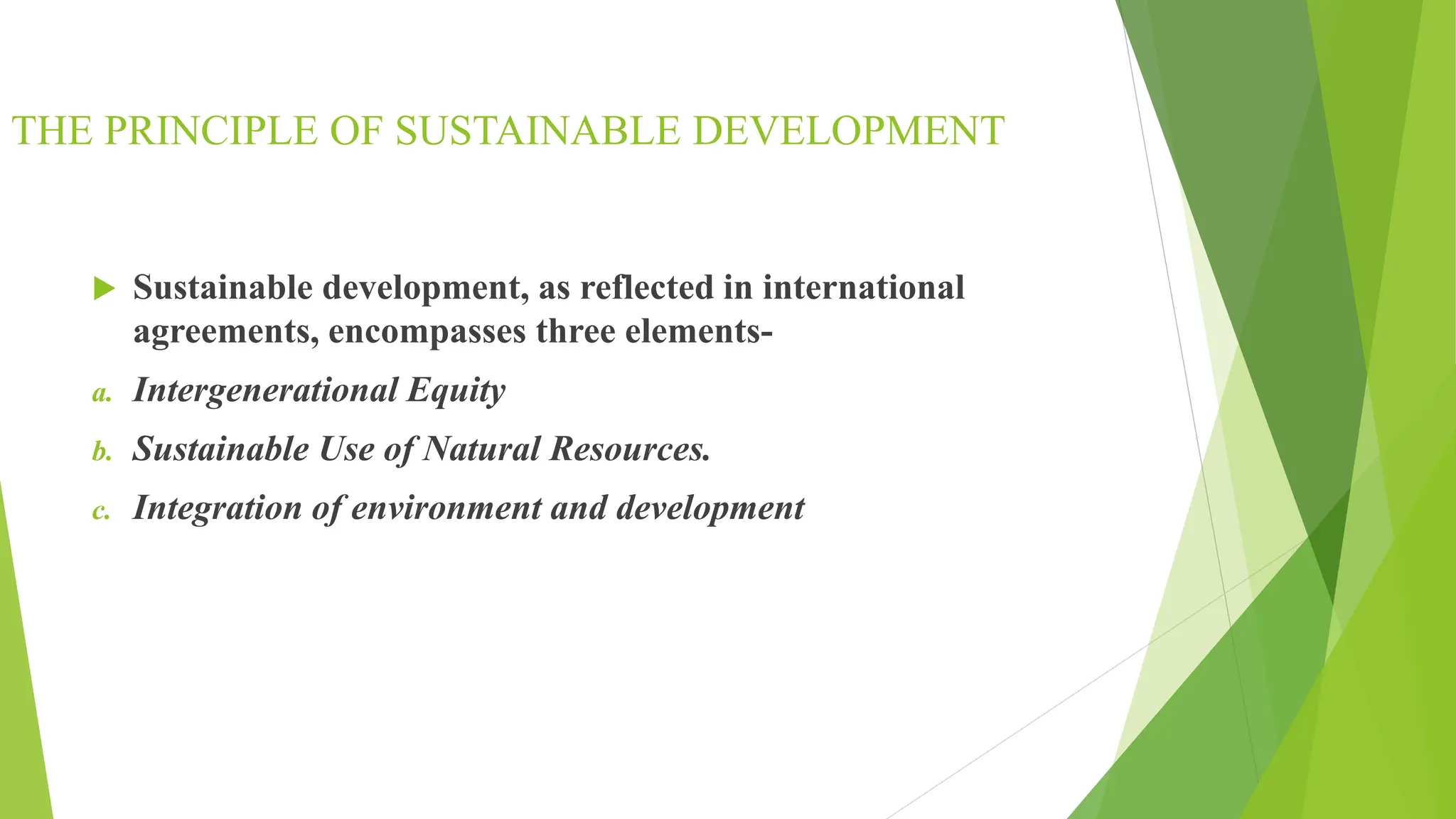 principles under environmental laws.pptx