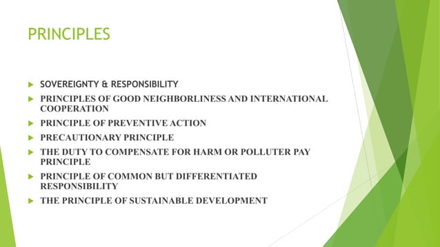 principles under environmental laws.pptx