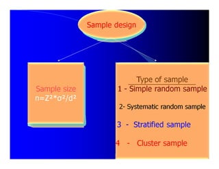 Statistical Analysis Steps | PDF