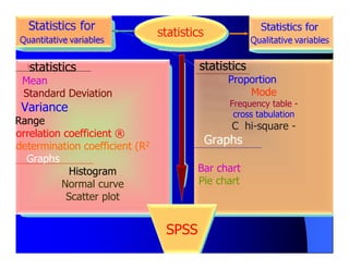 Statistical Analysis Steps | PDF