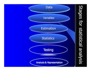 Statistical Analysis Steps