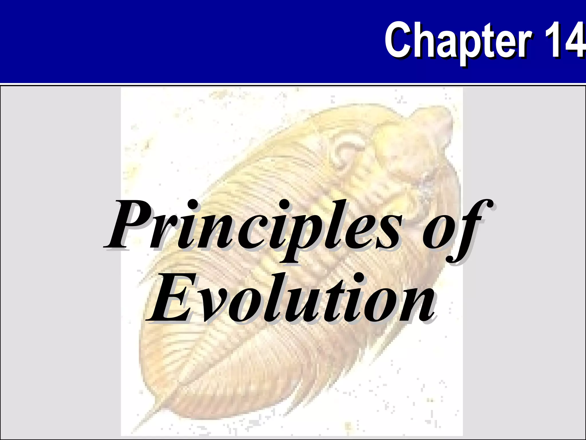 Principles Evolution APBioCh13-14 | PPT