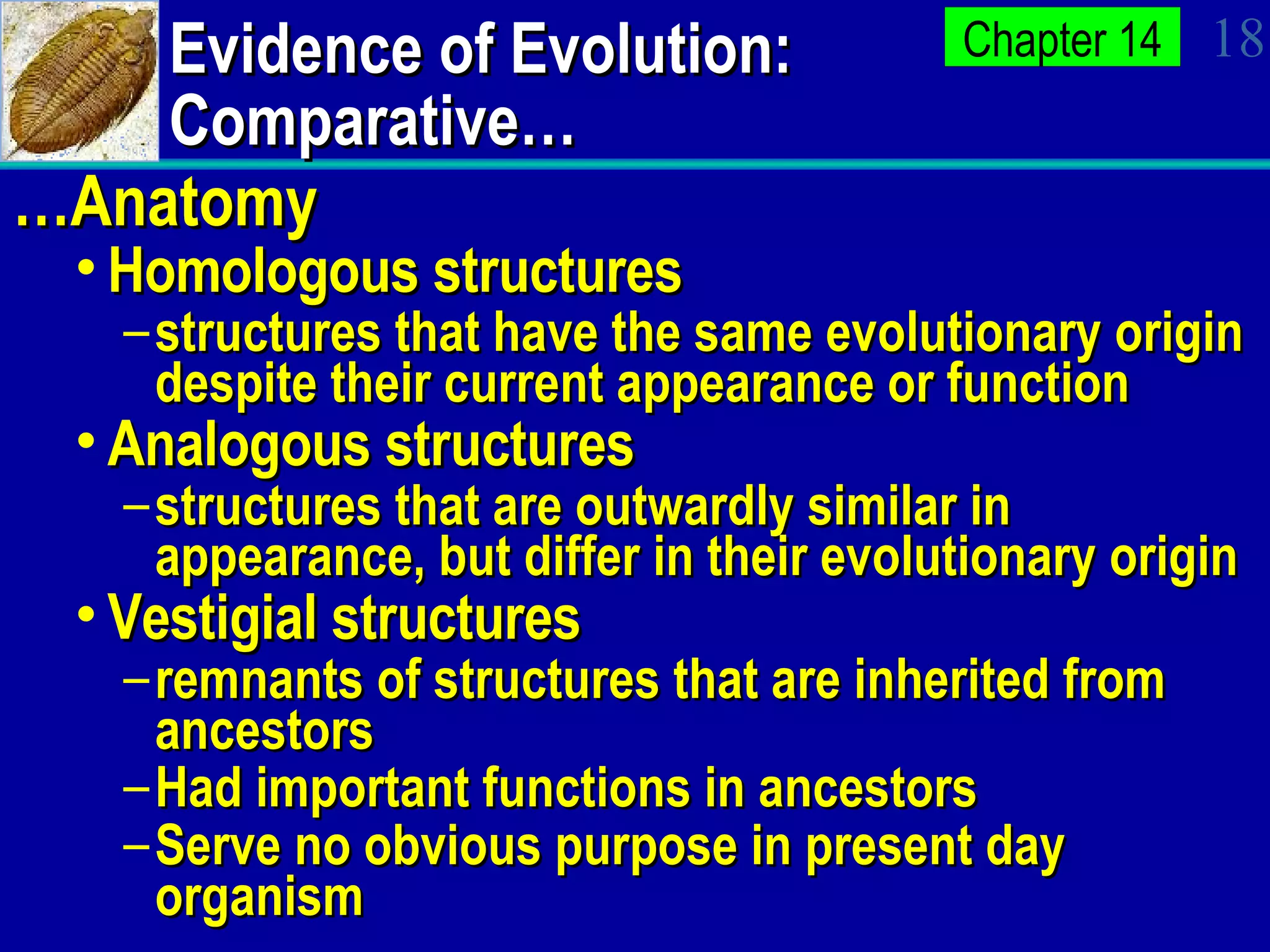Principles Evolution APBioCh13-14 | PPT