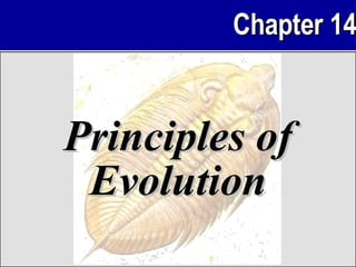 Principles Evolution APBioCh13-14 | PPT