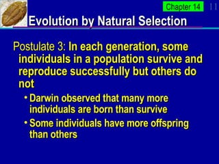 Principles Evolution APBioCh13-14 | PPT