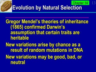 Principles Evolution APBioCh13-14 | PPT