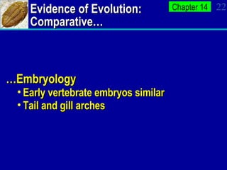 Principles Evolution APBioCh13-14 | PPT