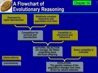 Principles Evolution APBioCh13-14 | PPT