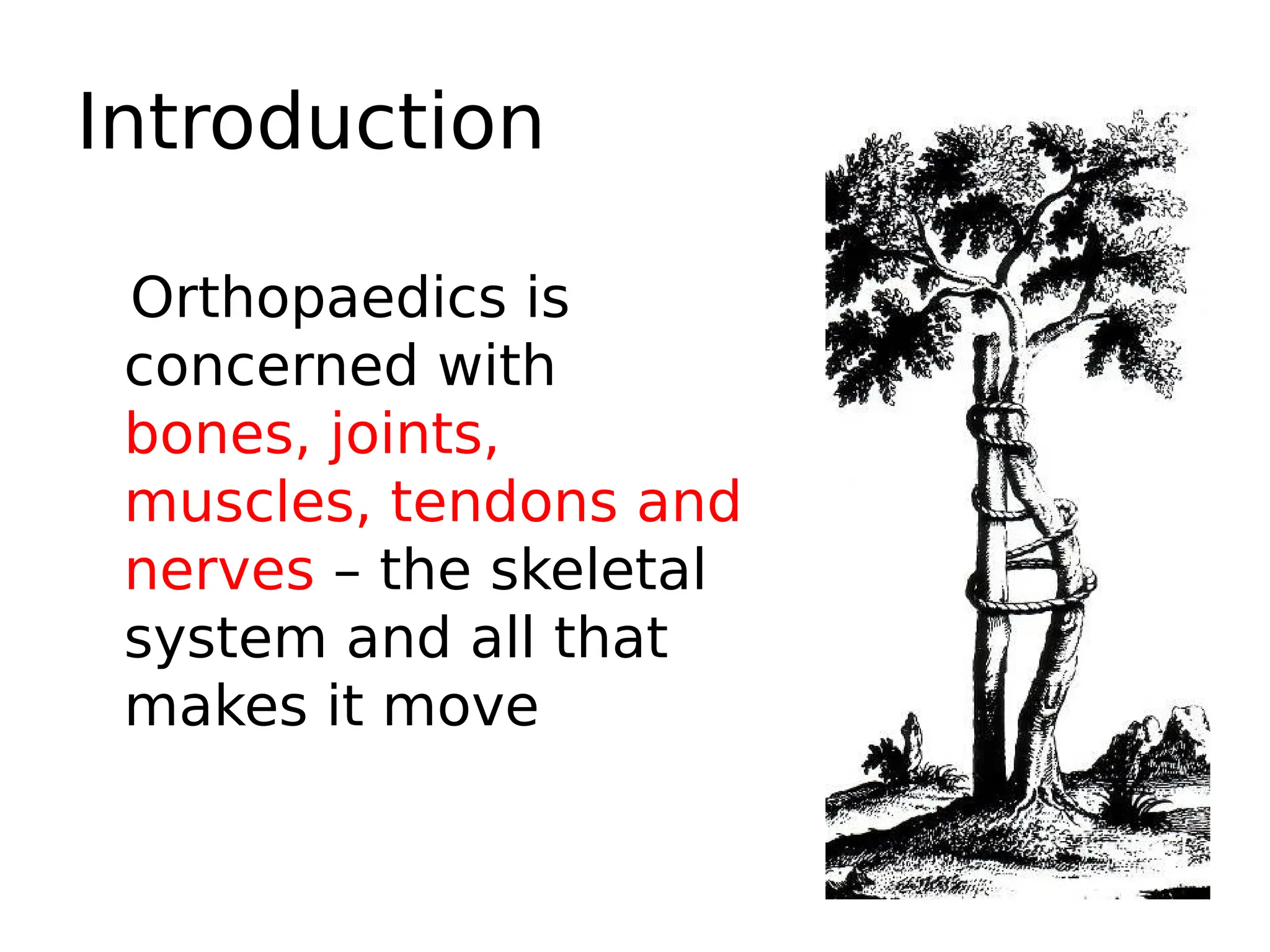 Principles-fracture-management - Presentation slide (2).pdf