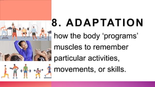 PRINCIPLES-OF-EXERCISE-2 and some definition | PPTX