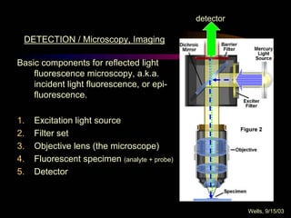 Principles of fluorescence | PDF