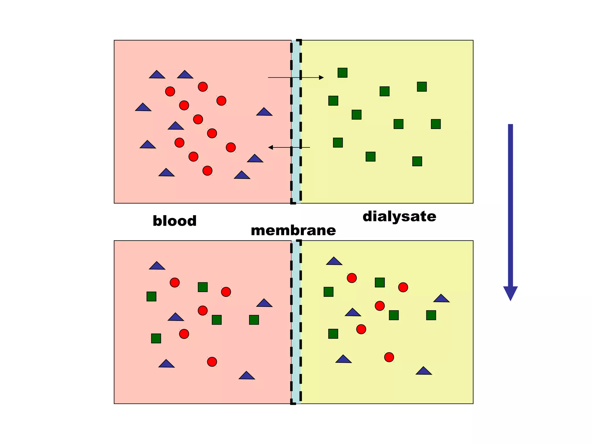 Principles of-hemodialysis | PPT