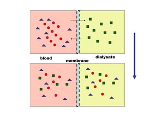Principles of-hemodialysis | PPT