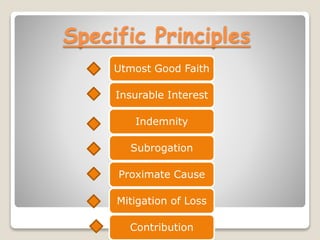 Conceot and principles-of-insurance.ppt