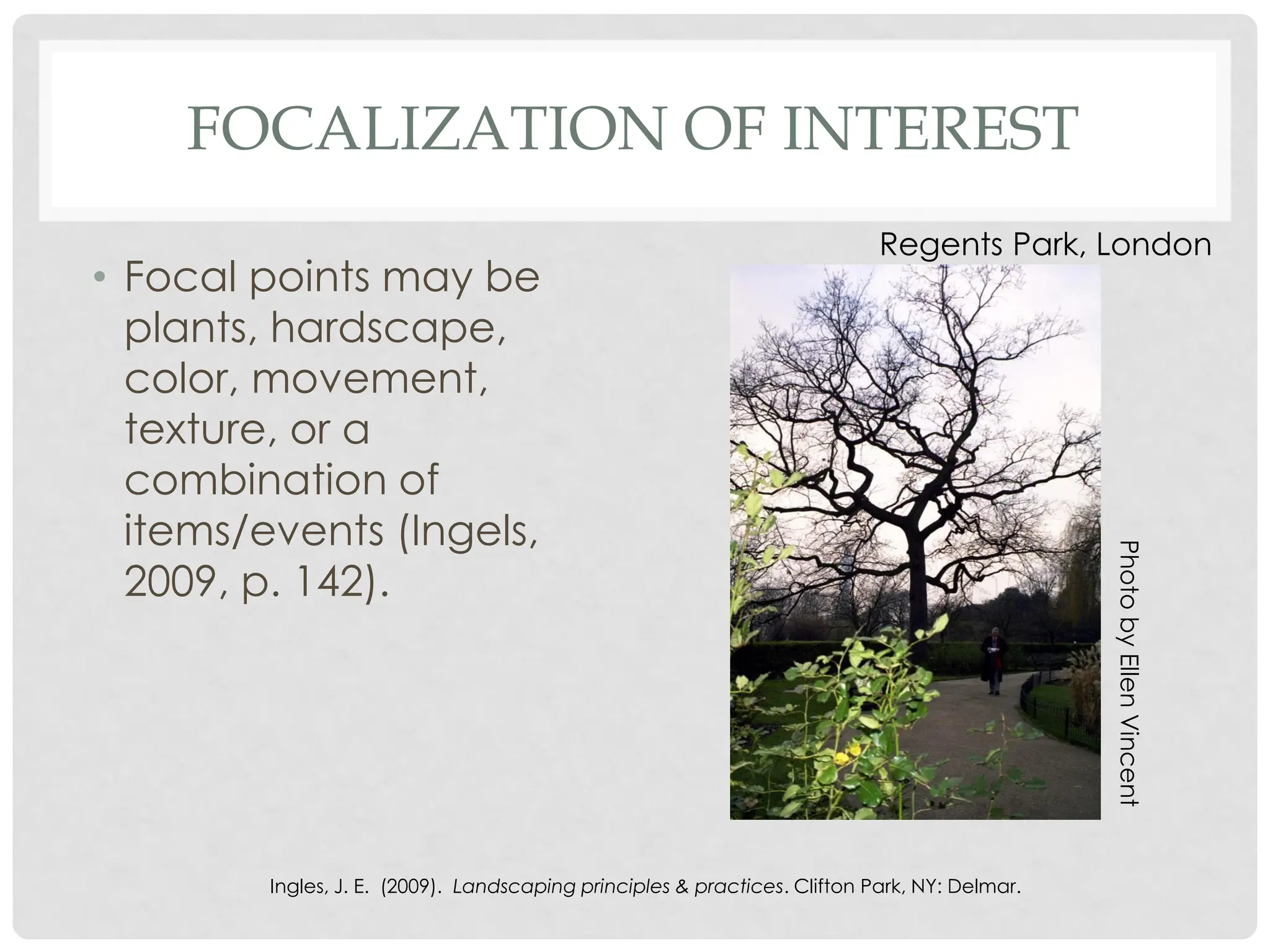 principles-of-landscape-design seven principles of landscape | PDF