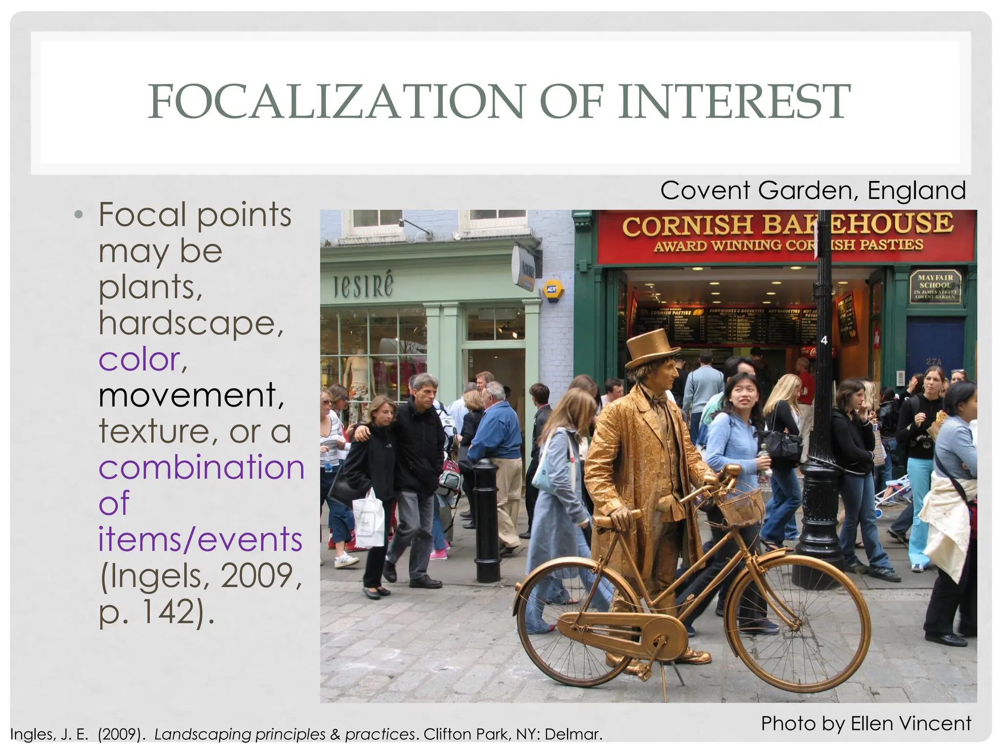 principles-of-landscape-design seven principles of landscape | PDF