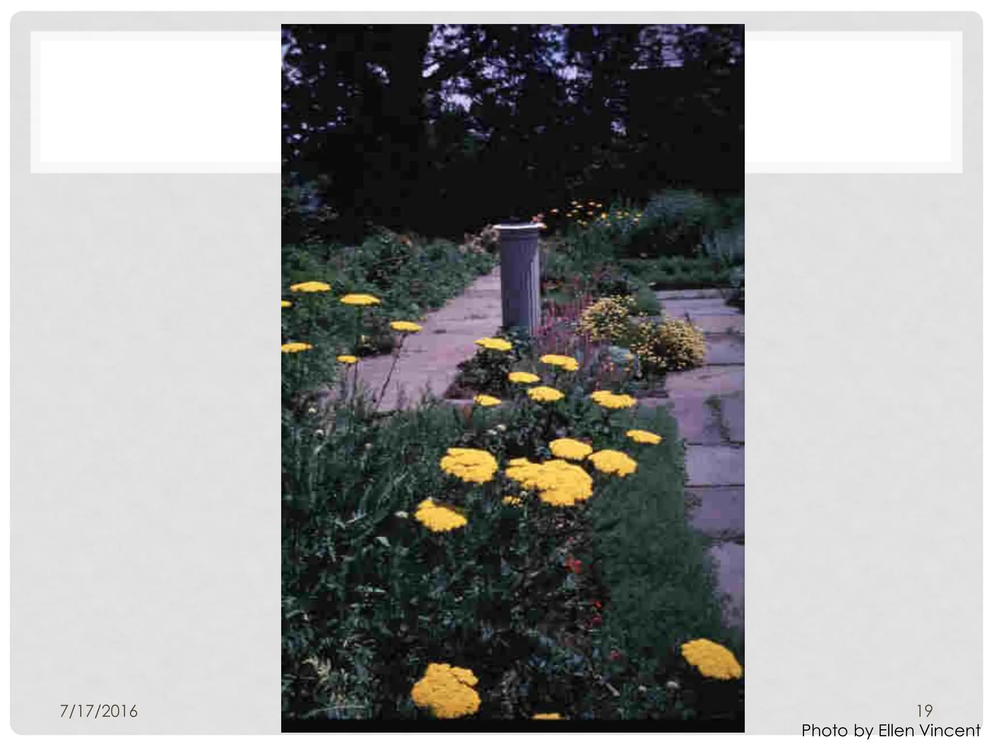 principles-of-landscape-design seven principles of landscape | PDF