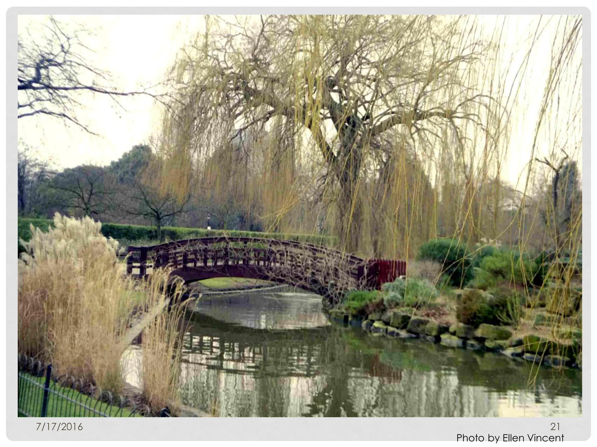 principles-of-landscape-design seven principles of landscape | PDF