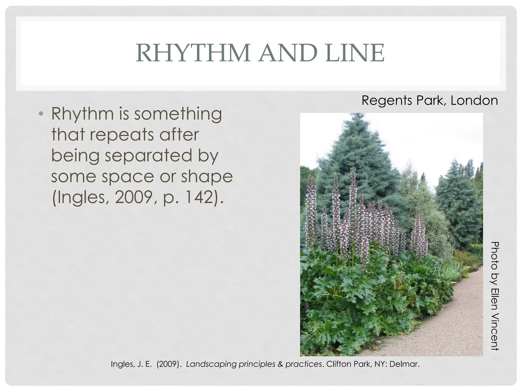 principles-of-landscape-design seven principles of landscape | PDF