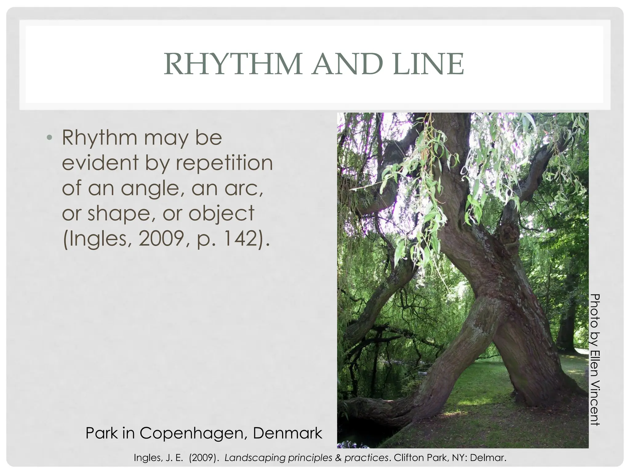 principles-of-landscape-design seven principles of landscape | PDF