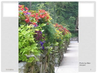principles-of-landscape-design seven principles of landscape | PDF