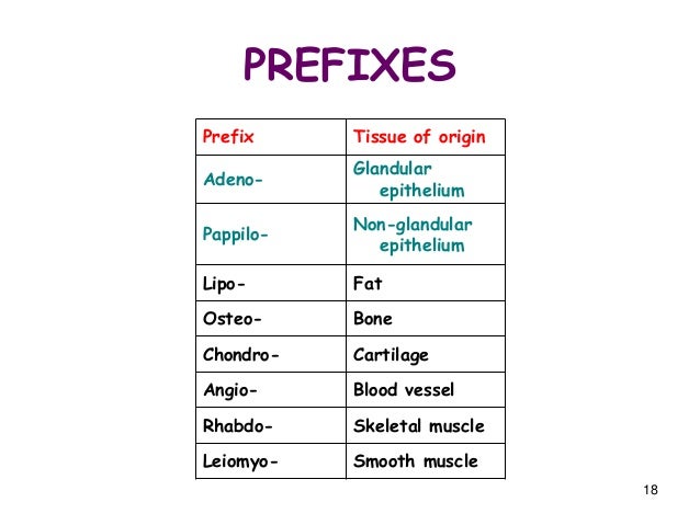 Principles of Oncology