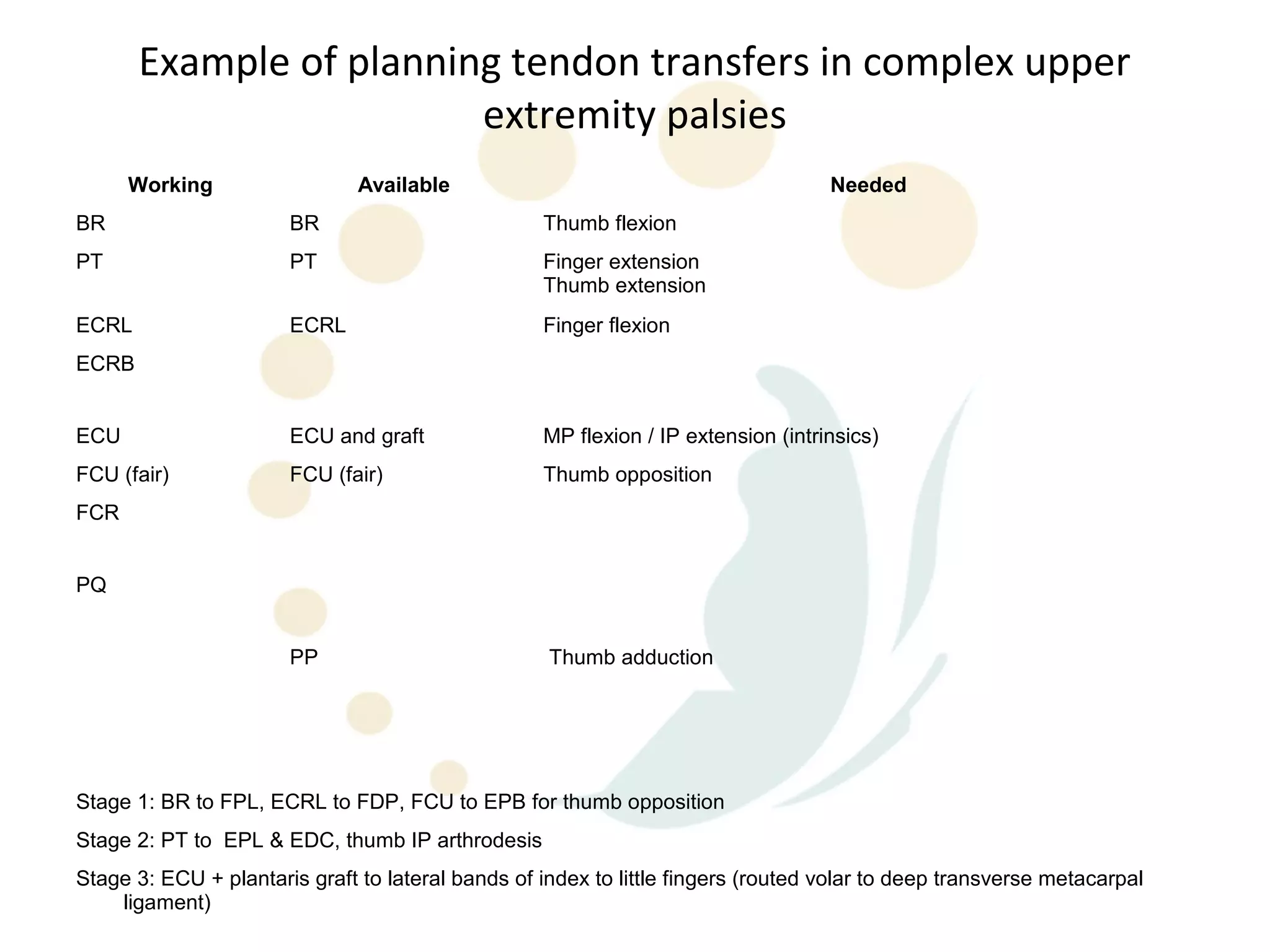 Principles of-tendon-transfers | PPT