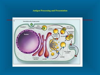 Main principles -of -transplantation.ppt