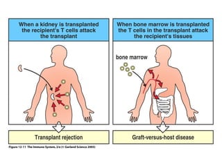 Main principles -of -transplantation.ppt