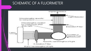 Principles and application of fluorescence spectroscopy | PPTX
