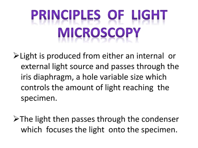 Principles and application of light microscopy | PPT
