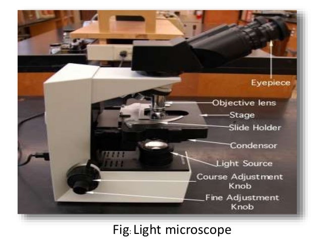 Principles and application of light microscopy