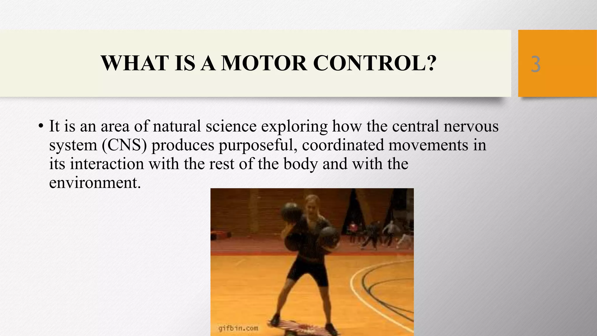 PRINCIPLES AND APPLICATIONS OF MOTOR CONTROL IN MUSCULOSKELETAL | PPT