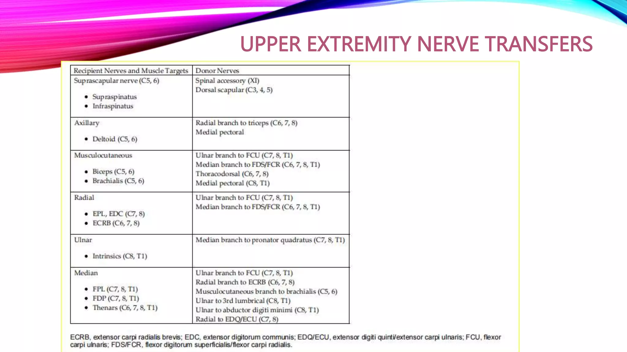 Principles and applications of Nerve transfer by Maheen Fatima.pptx
