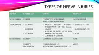 Principles and applications of Nerve transfer by Maheen Fatima.pptx