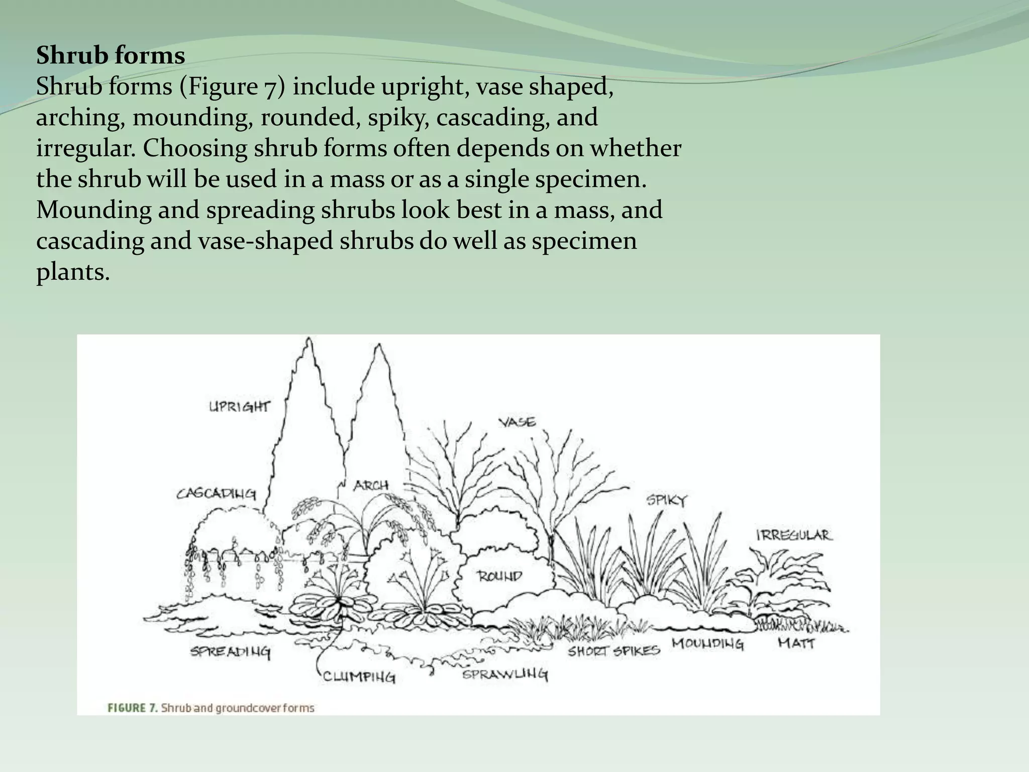 Principles and elements of landscape design | PPTX