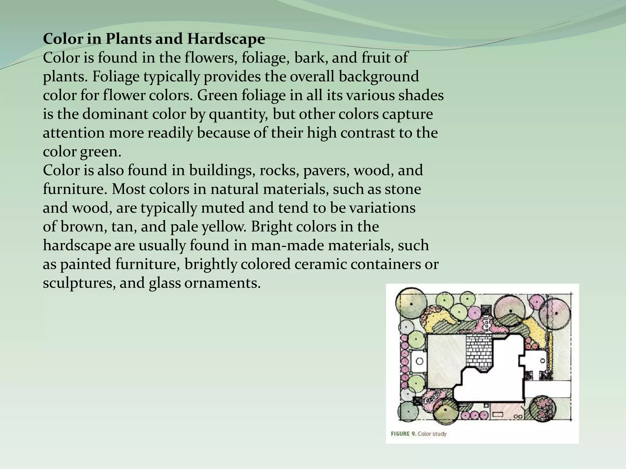 Principles and elements of landscape design | PPTX