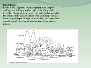 Principles and elements of landscape design | PPTX