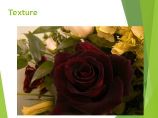 principles_and_elements_of_floral_design.ppt