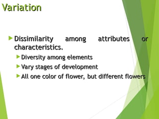 principles_and_elements_of_floral_design.ppt