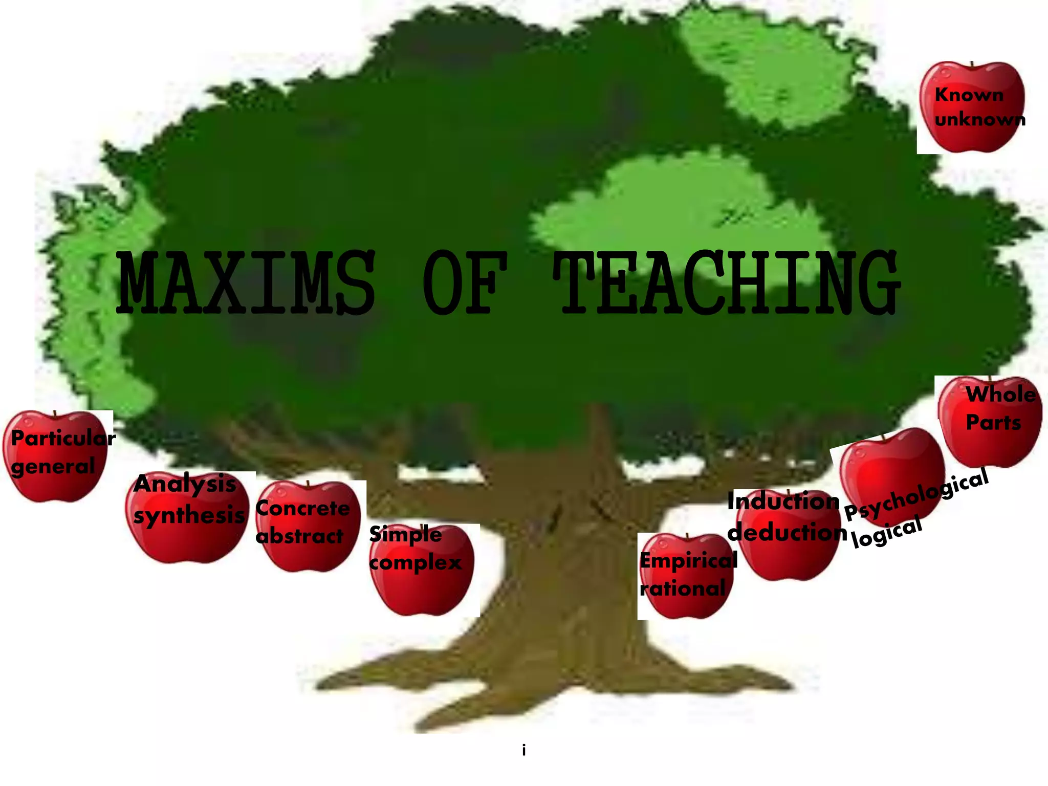 Principles and maxims of teaching | PPTX
