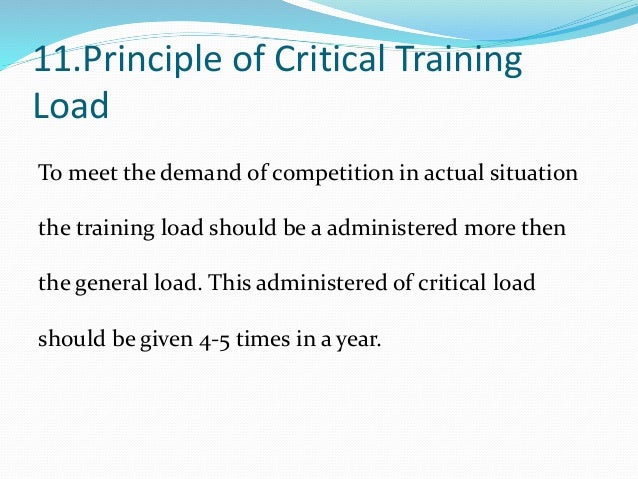 Principle meaning - lomibrand