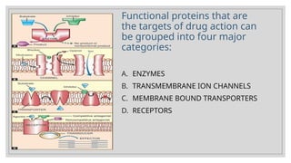 PRINCIPLES AND MECHANISMS OF DRUG ACTION.pptx