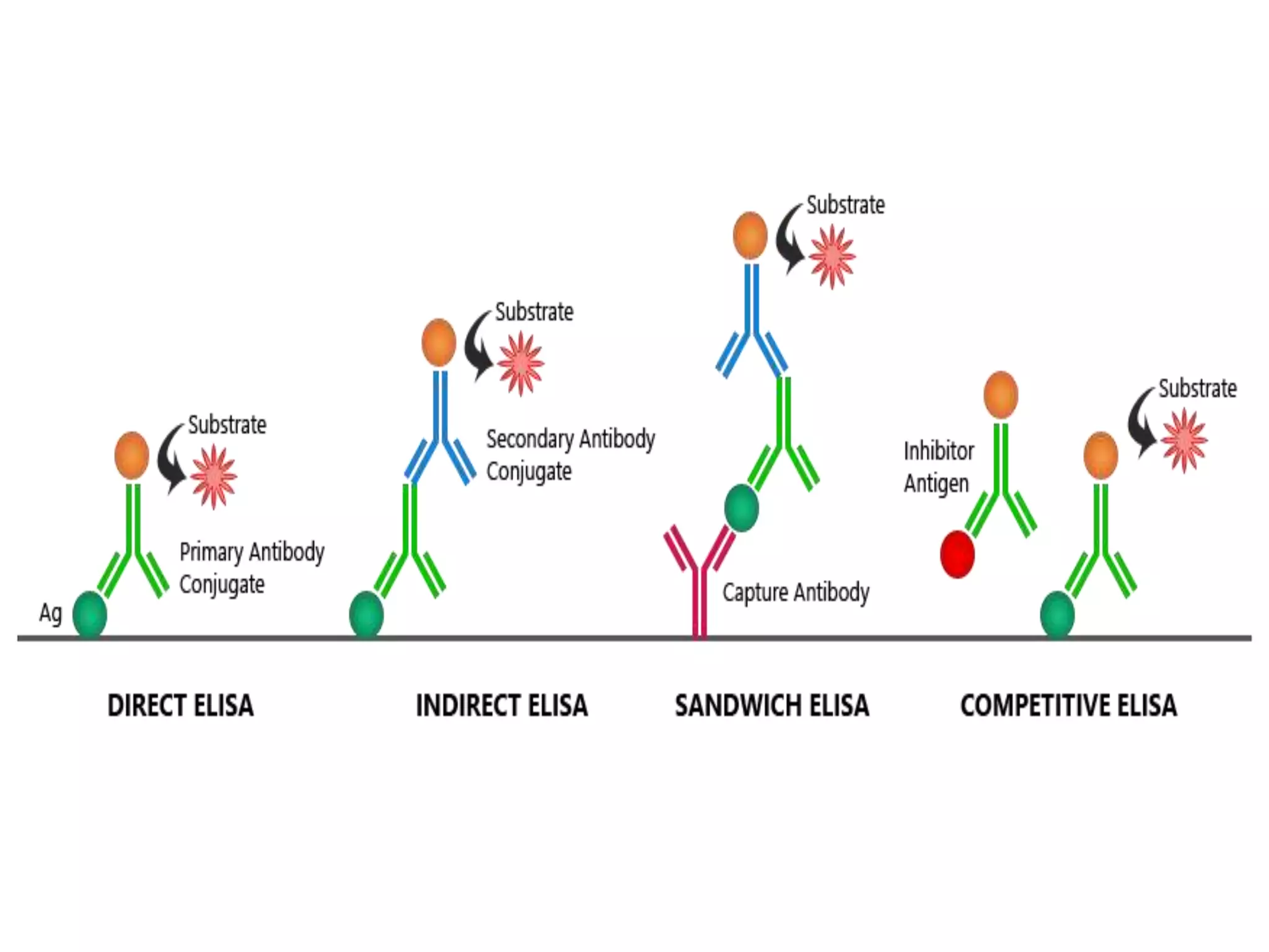 Principles and methods of elisa, fpia, | PPTX