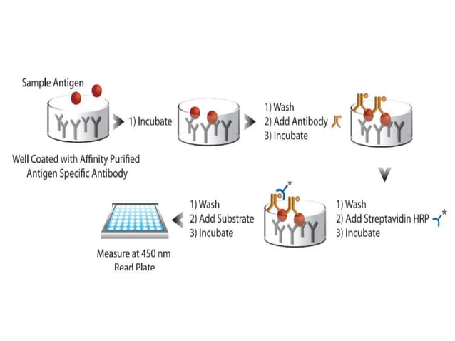 Principles and methods of elisa, fpia, | PPTX | Chemistry | Science