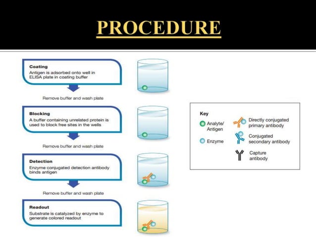Principles and methods of elisa, fpia, | PPTX | Chemistry | Science