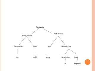 Principles and parameters of grammar report