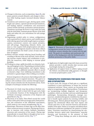 Principles and practice of therapeutic exercise for horses | PDF